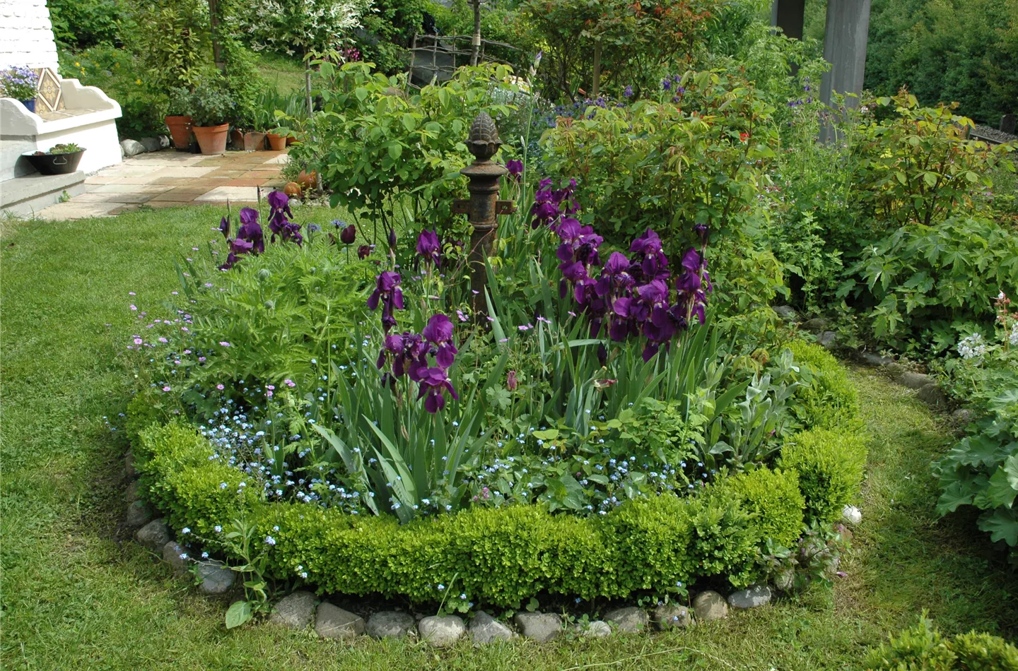 Die schönsten Stauden für den Staudengarten